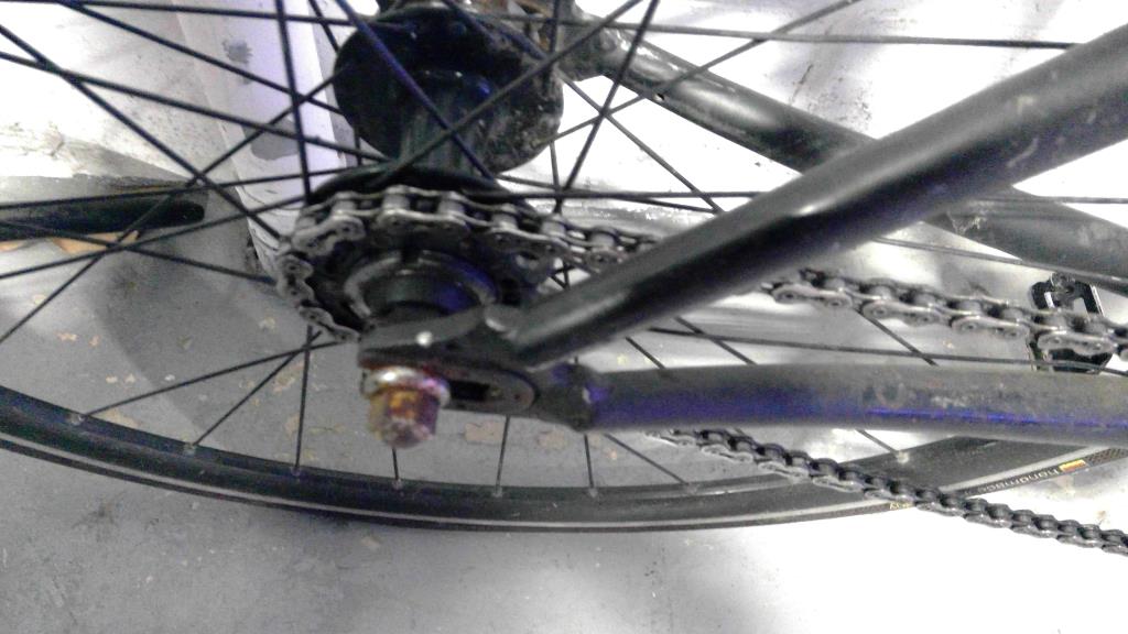 Specialized Single Speed Road Bike | Property Room