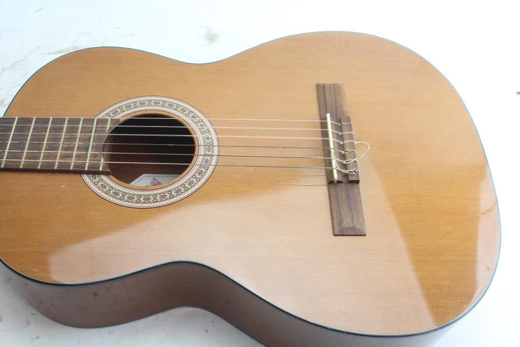 Strunal Acoustic Guitar | Property Room