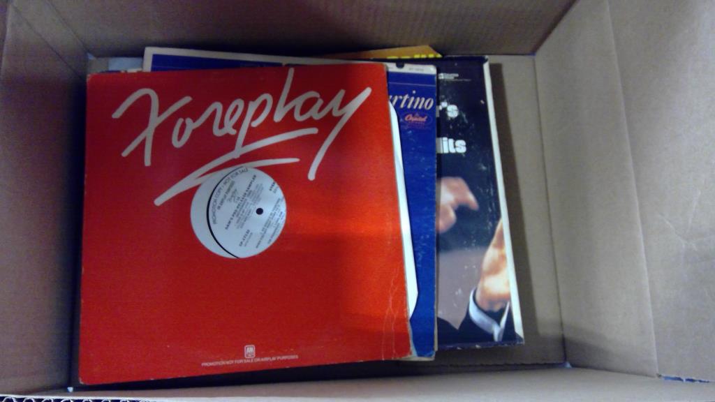 Vinyl Record Lot, 10+ Pieces | Property Room
