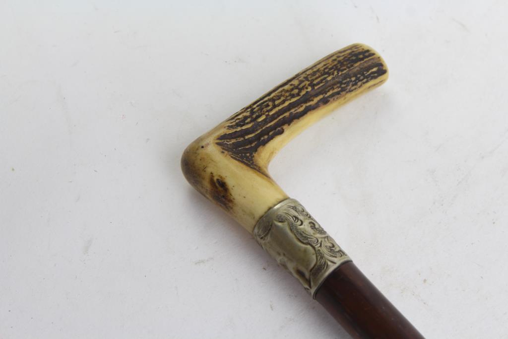 Walking Cane With Bone Handle | Property Room