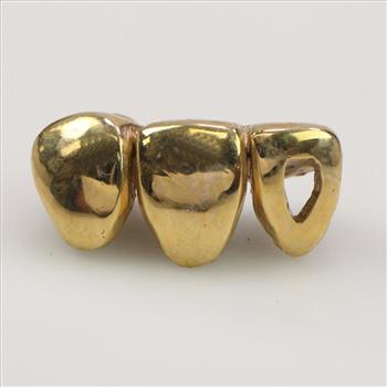 14k Gold Tooth Cover | Property Room