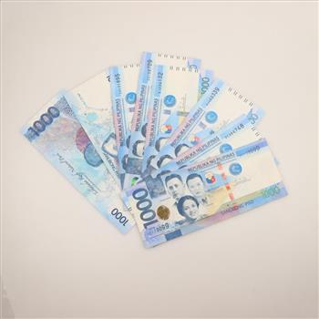 8000 Philippine Pesos | Property Room