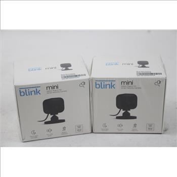 Blink Mini Lot, 2 Pieces | Property Room