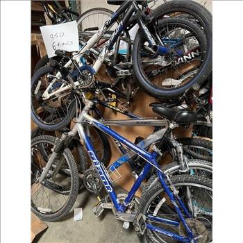 Group Of 6 Used Bikes | Property Room
