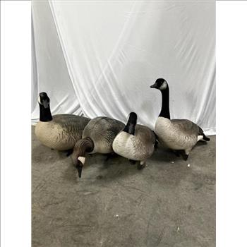 Plastic Geese Decoys | Property Room
