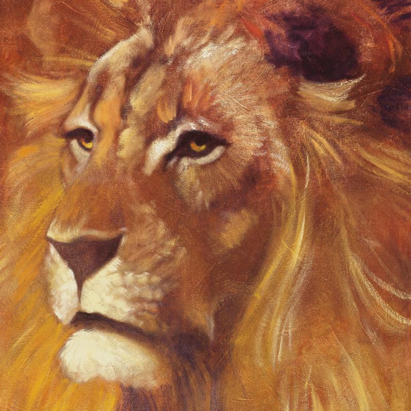 Stephen Fishwick! "Lion" LIMITED ED Giclee on Canvas, Numbered and ...