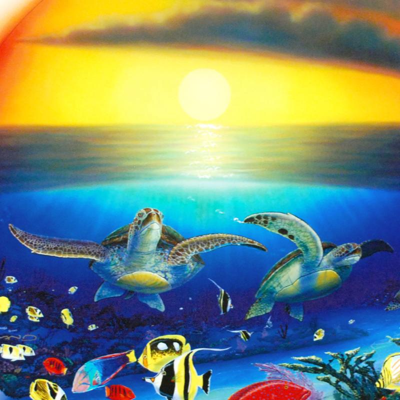 Wyland! "Sea Turtle Reef" Limited Edition Giclee on Canvas, Numbered ...
