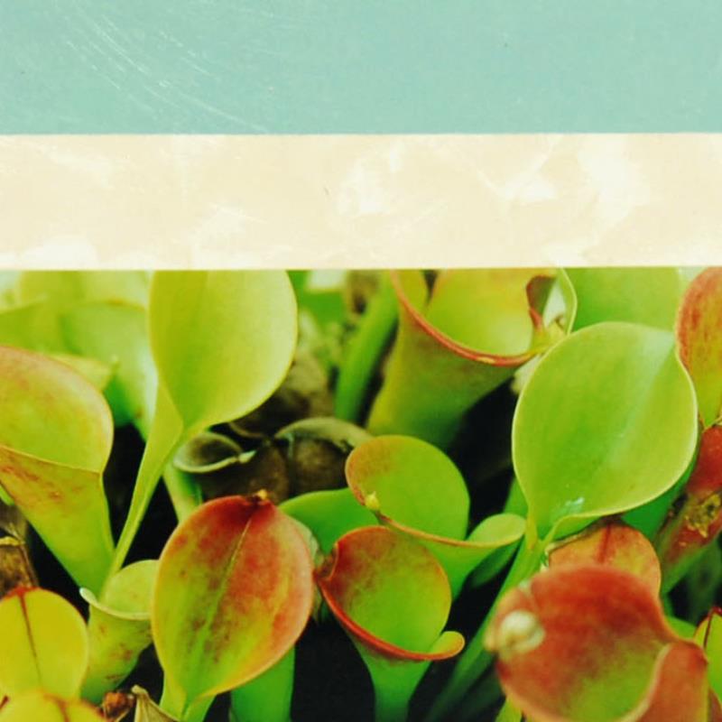 Liz Rider, "Aperture" Original Mixed Media Painting, Hand Signed with ...