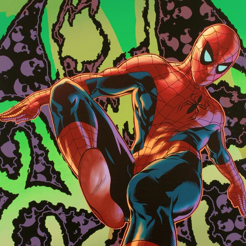 Marvel! "Amazing Spider-Man #524" Ltd Ed Giclee on Canvas by Mike ...
