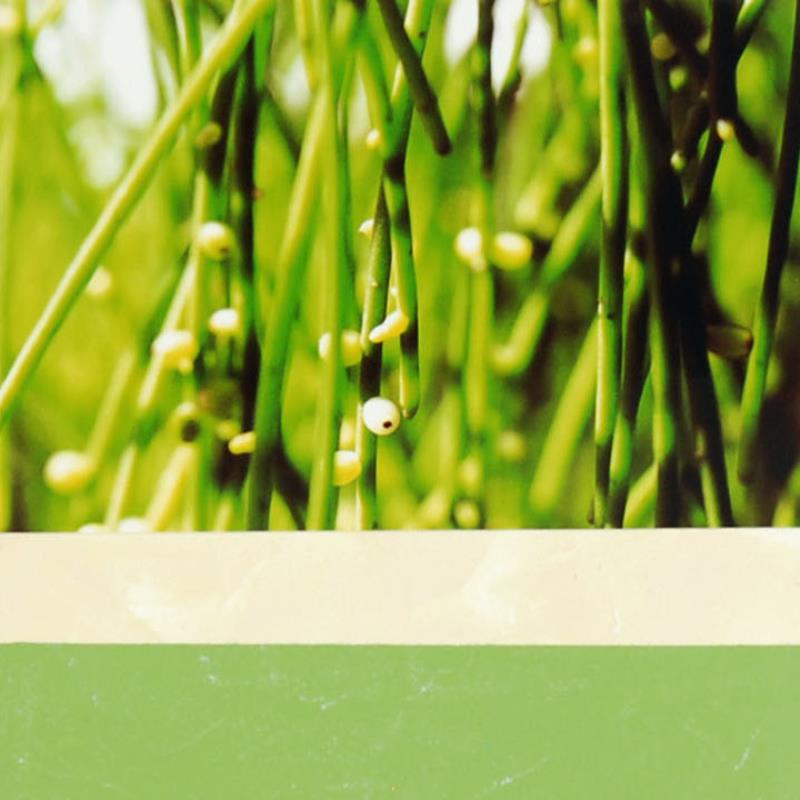 Liz Rider, "Aperture" Original Mixed Media Painting, Hand Signed with ...