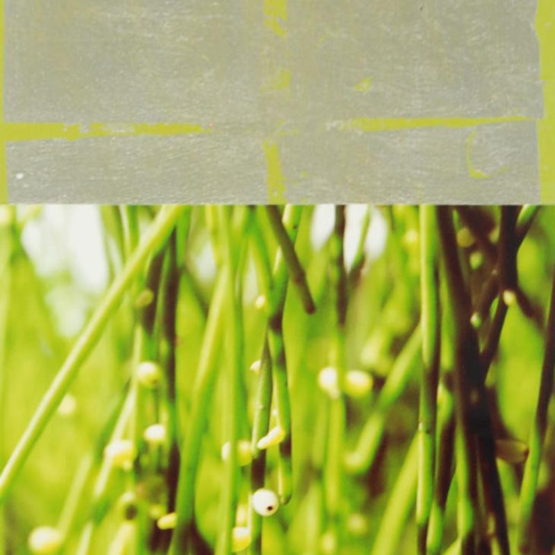 Liz Rider, "Aperture" Original Mixed Media Painting, Hand Signed with ...