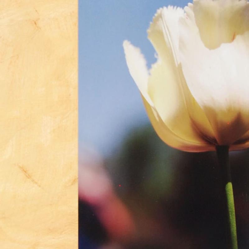 Liz Rider, "Aperture" Original Mixed Media Painting, Hand Signed with ...