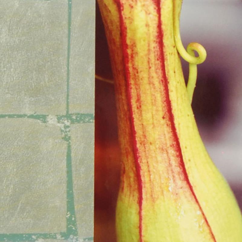 Liz Rider, "Aperture" Original Mixed Media Painting, Hand Signed with ...