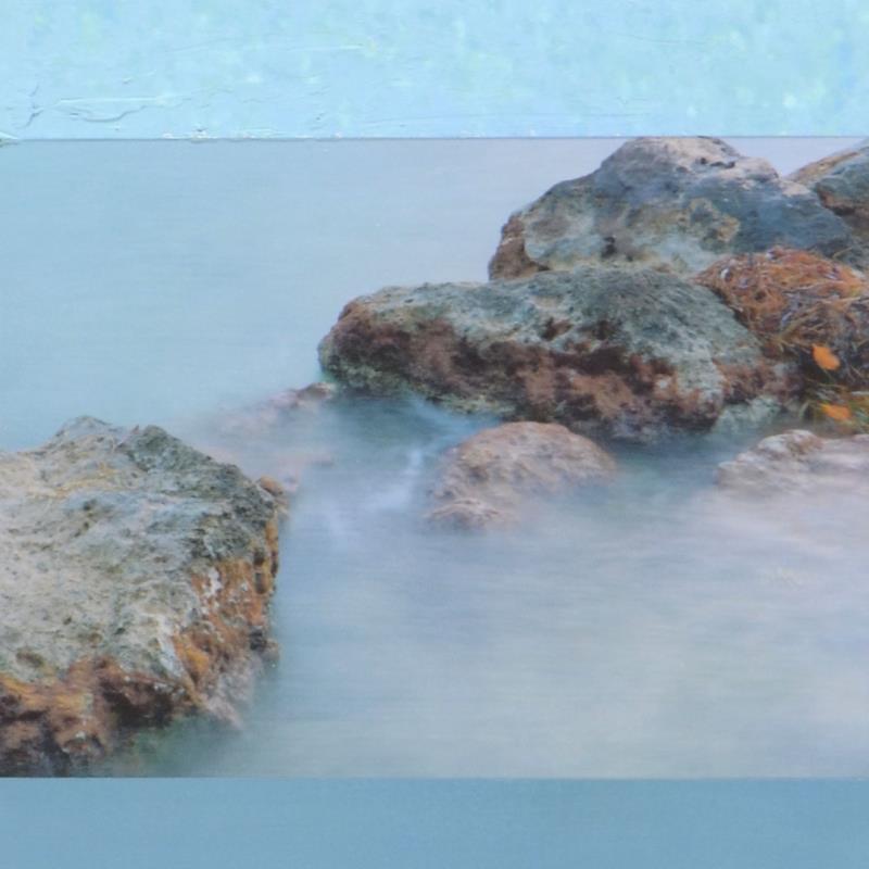 Robin Walker, "Nature's Window" Original Mixed Media, Hand Signed with ...