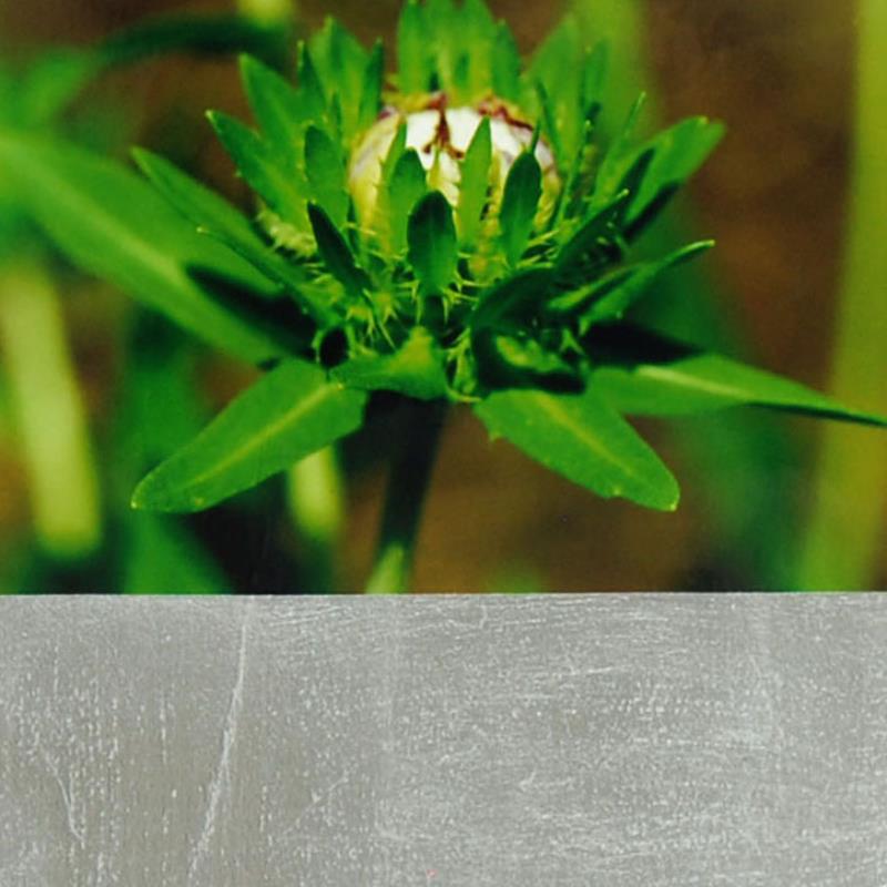 Liz Rider, "Aperture" Original Mixed Media Painting, Hand Signed with ...