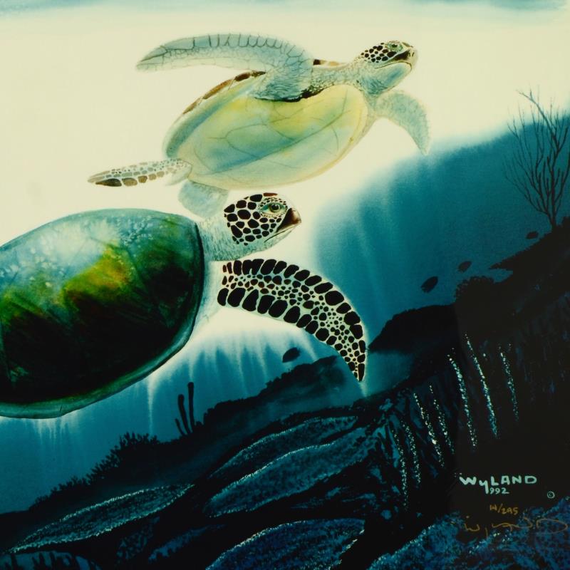 Wyland, "Turtle Waters" Limited Edition Cibachrome, Numbered and Hand ...