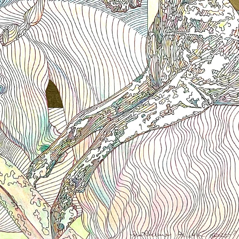 Guillaume Azoulay, Framed Hand Colored Original Drawing with Gold Leaf ...