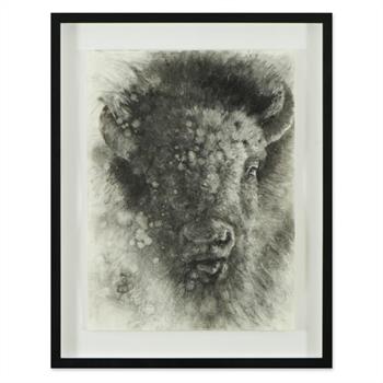 Vincent Cacciotti, Framed Original Charcoal Drawing, Hand Signed with ...