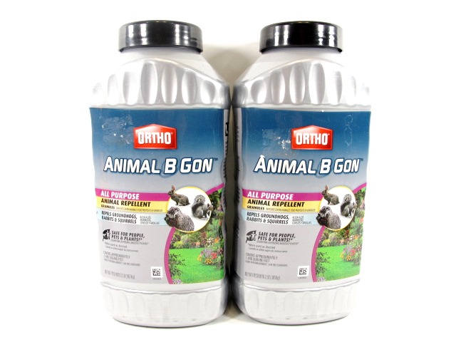 Ortho Animal B Gon | Property Room