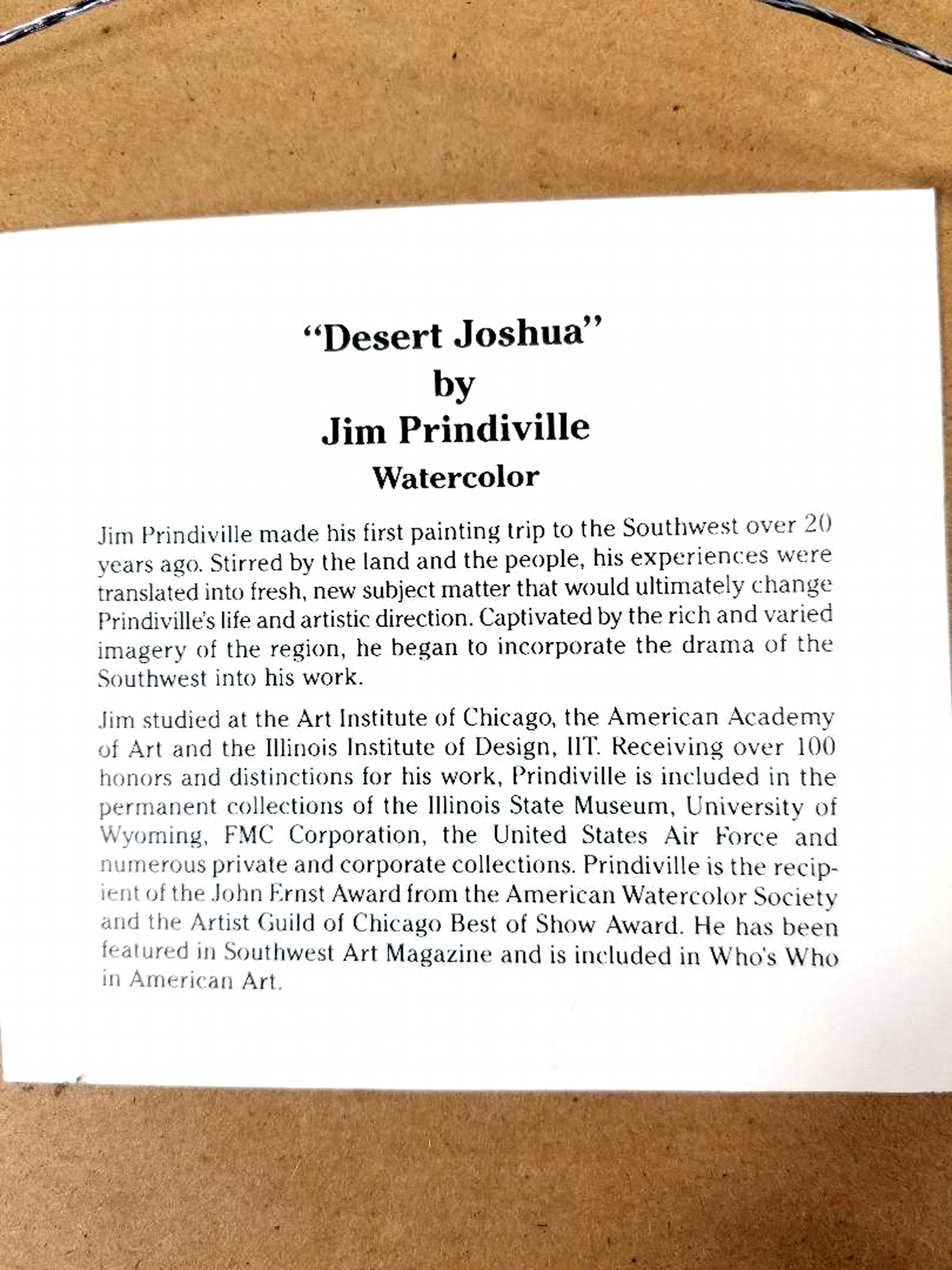 Framed Water Color - Dessert Joshua by Jim Prindiville | Property Room