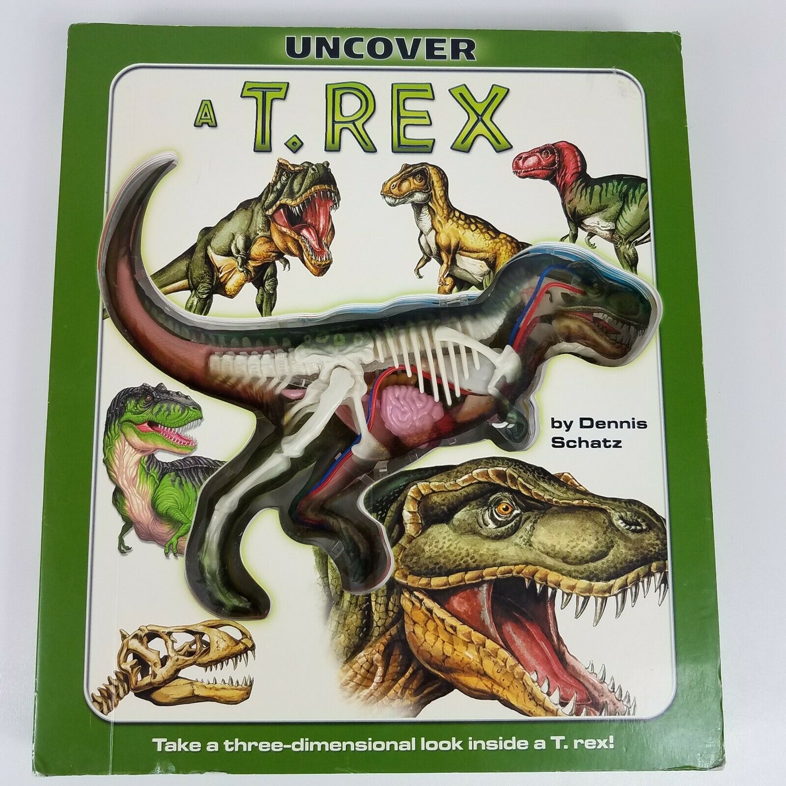 Uncover A T-Rex Take a Three-Dimensional Look Inside a T. Rex by Dennis ...
