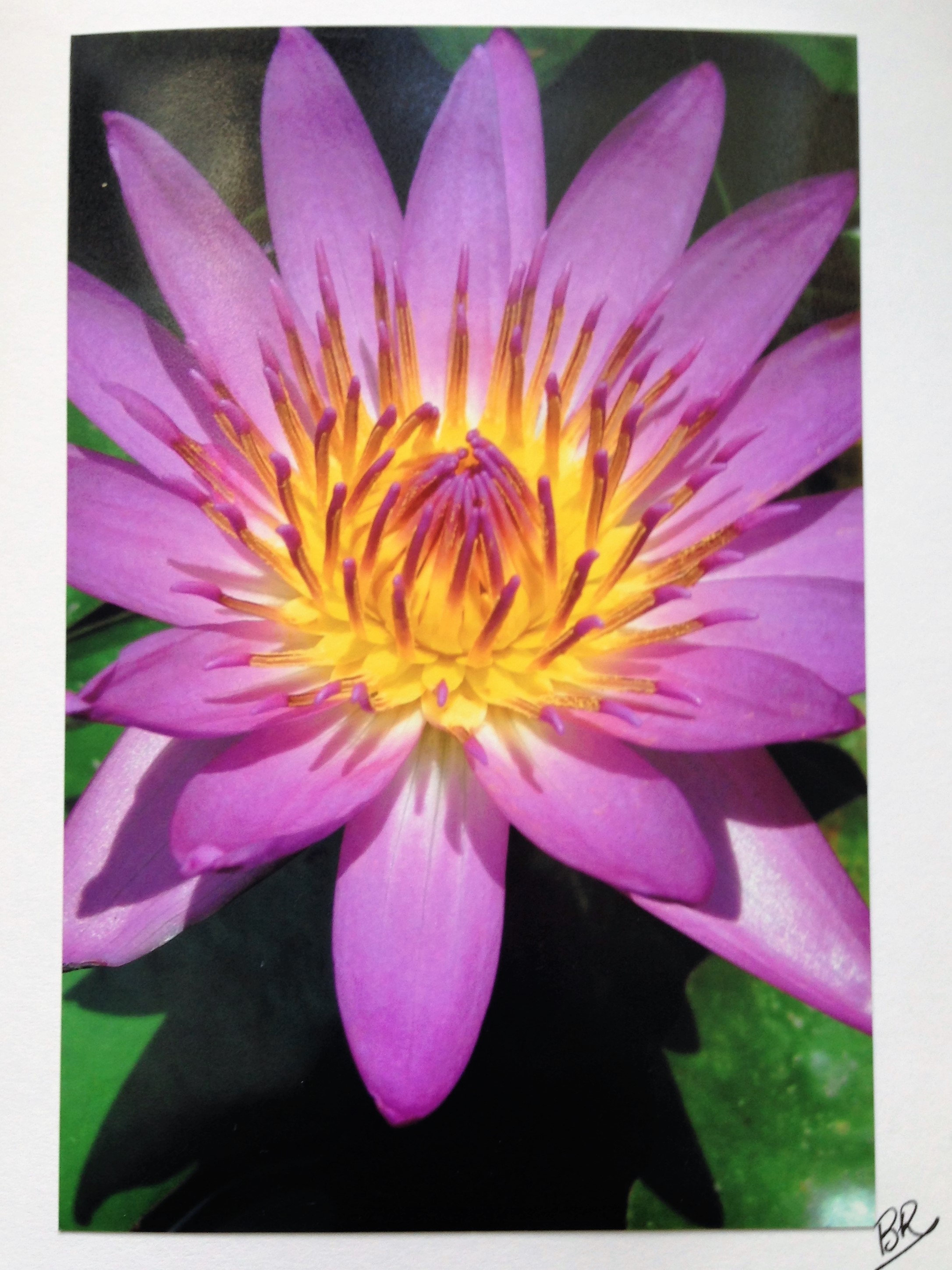 6 Artisan Photo Greeting Cards Spiritual Mesage Property Room 6-artisan-photo-greeting-cards-spiritual-mesage-property-room