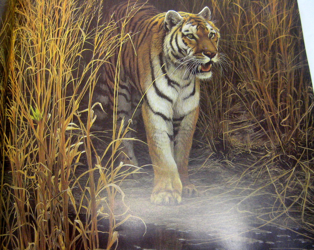 Book-Signed- The World of Robert Bateman-1986 | Property Room