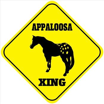 Appaloosa Zing Horse Crossing Metal Sign 12" x 12" | Property Room