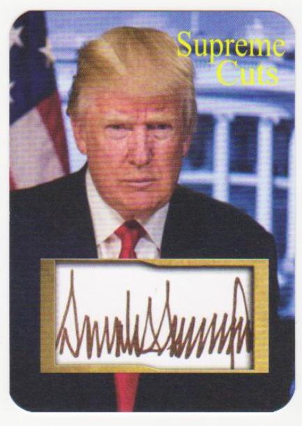 #45/50 Produced - Donald Trump Facsimile Autograph Supreme Cuts Die Cut ...