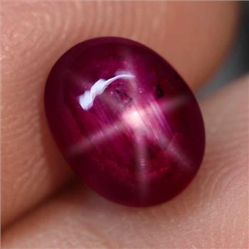 No Reserve 4.50 ct Natural 6 Ray Star Ruby Oval Cut Loose Gemstone ...