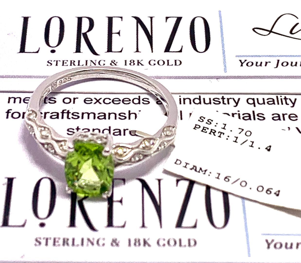 $375 COLORE SG Lorenzo 18K WG & .925 Sterling Silver, 16 Genuine Diamonds & 1.40ctw Genuine ...