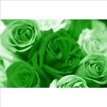 5 GREEN ROSE Seeds | Property Room