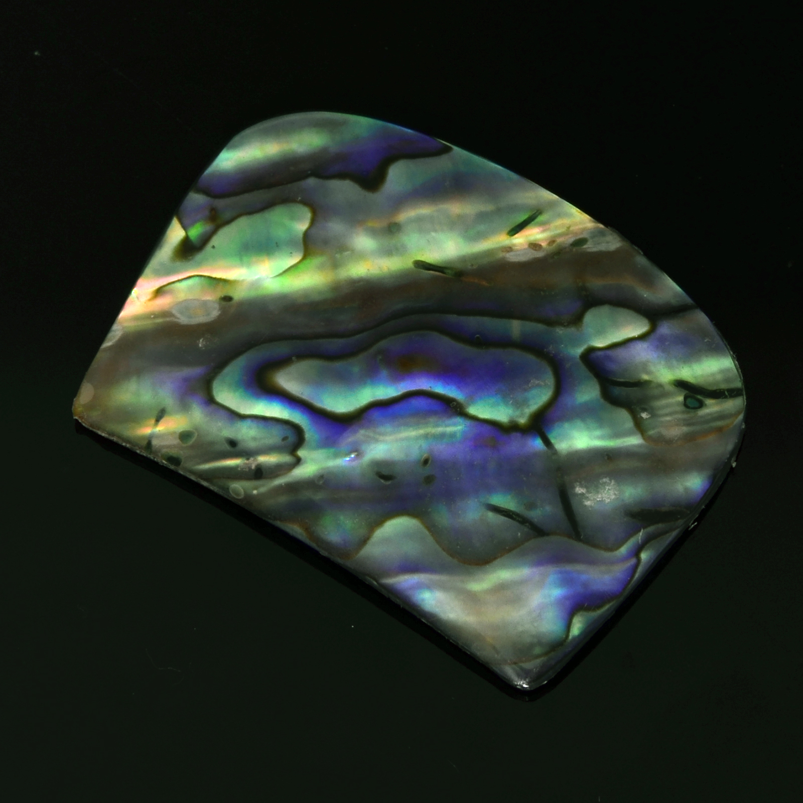 27.200 Carat Abalone Loose Gemstone | Property Room