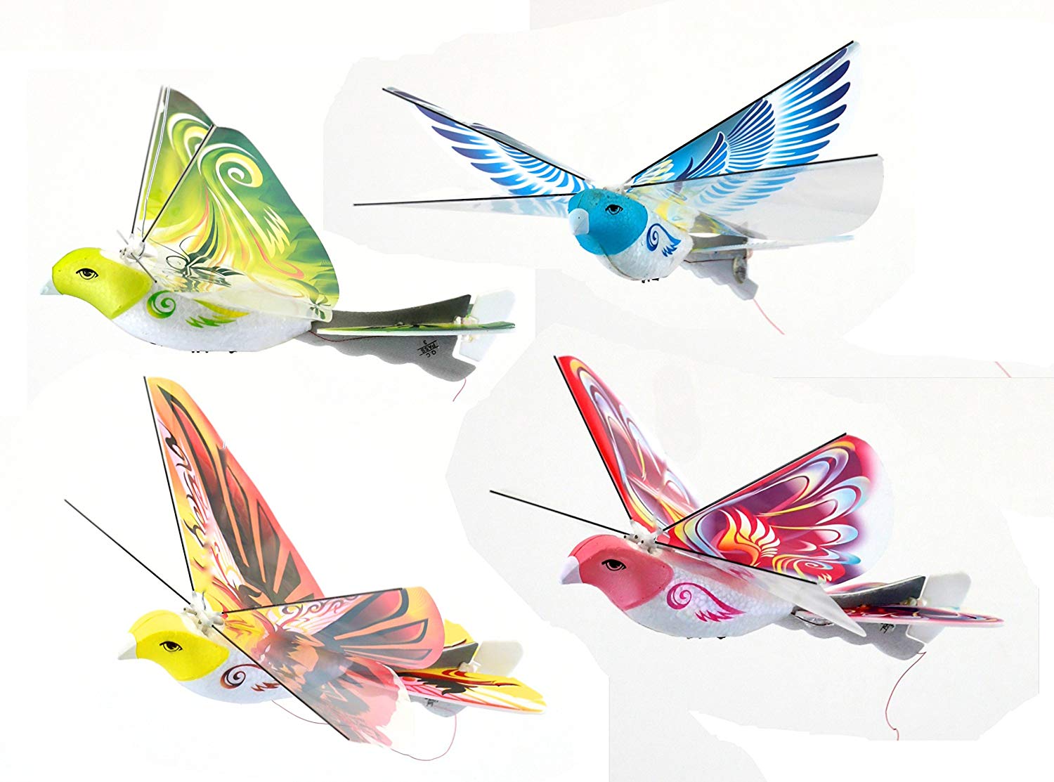4 eBirds Green Parrot, Blue Pigeon, Orange Phoenix, and Pink butterfly ...