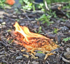 Adjustable Survival Fire Starter Paracord Bracelet Dark OLIVE ...