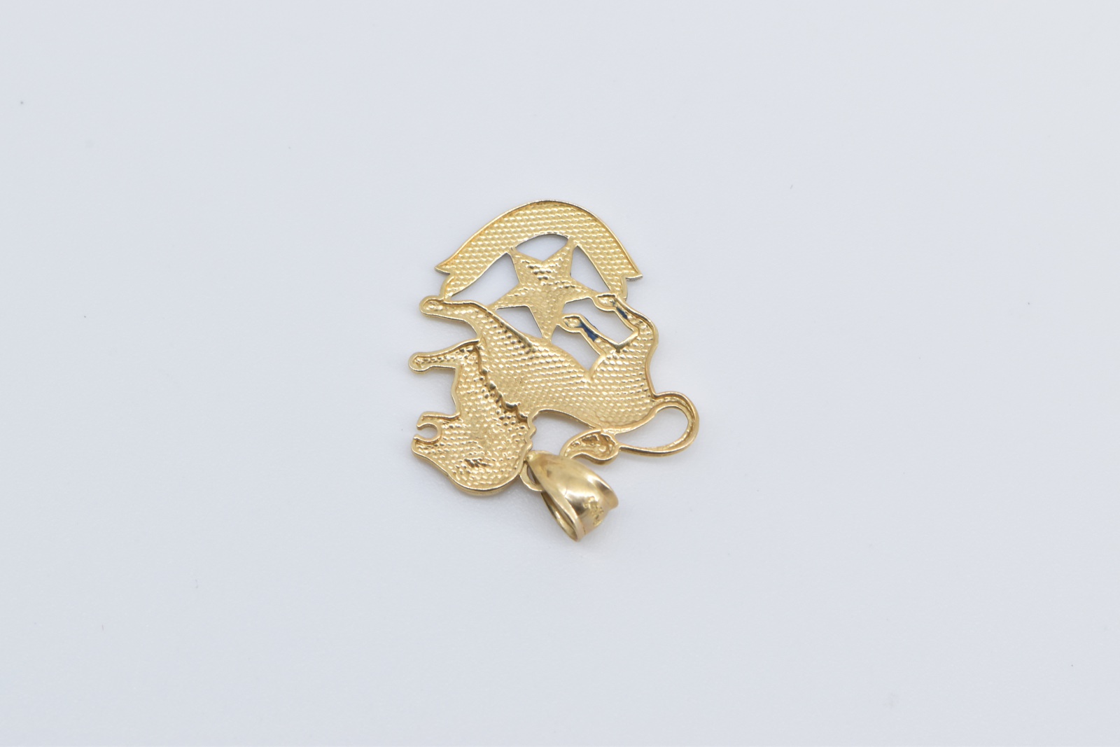 14K Leo Zodiac Star Sign Astrology Lion Yellow Gold Charm/Pendant ...