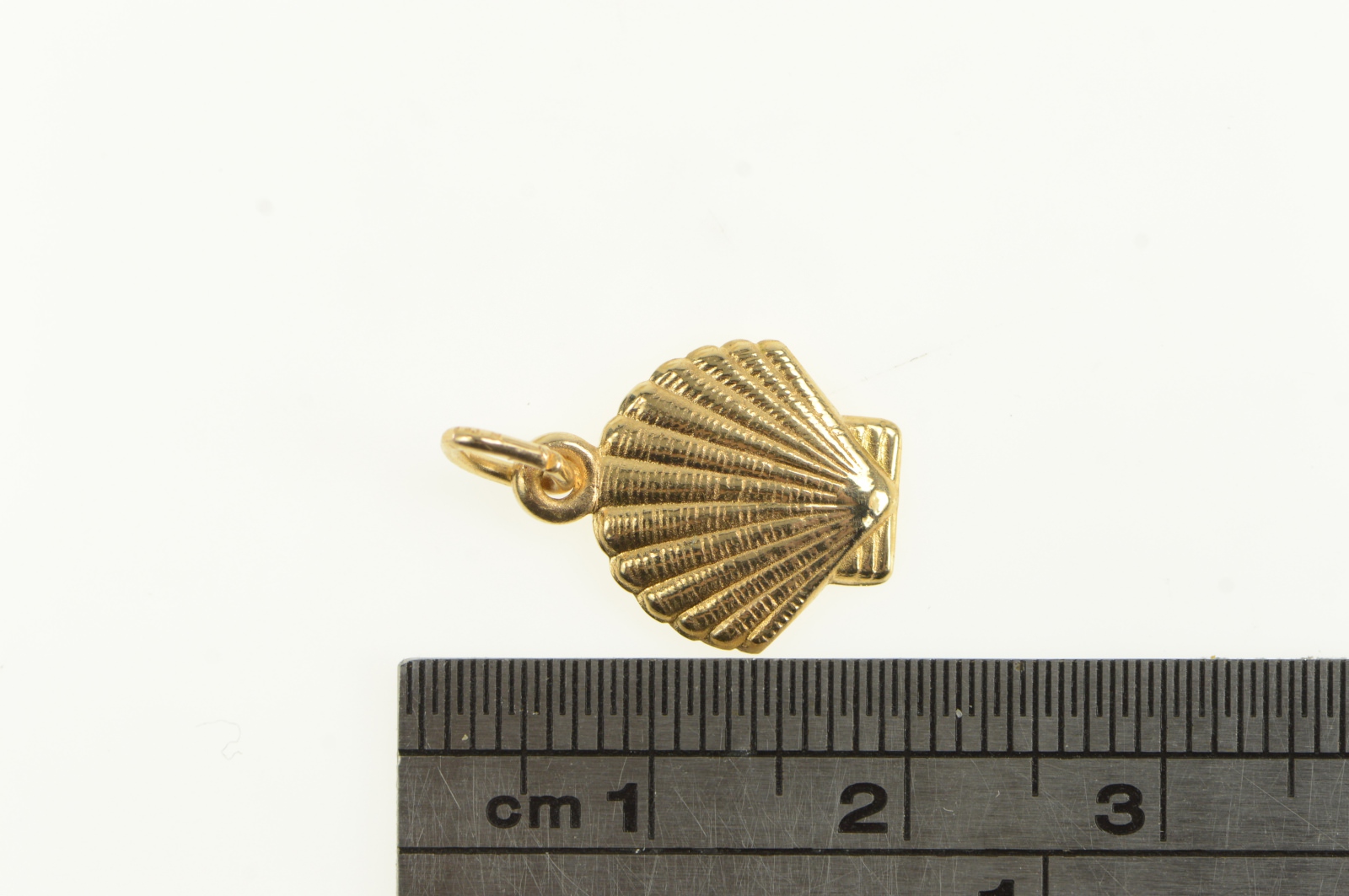 14K Scallop Sea Shell Ocean Beach Motif Yellow Gold Charm/Pendant ...