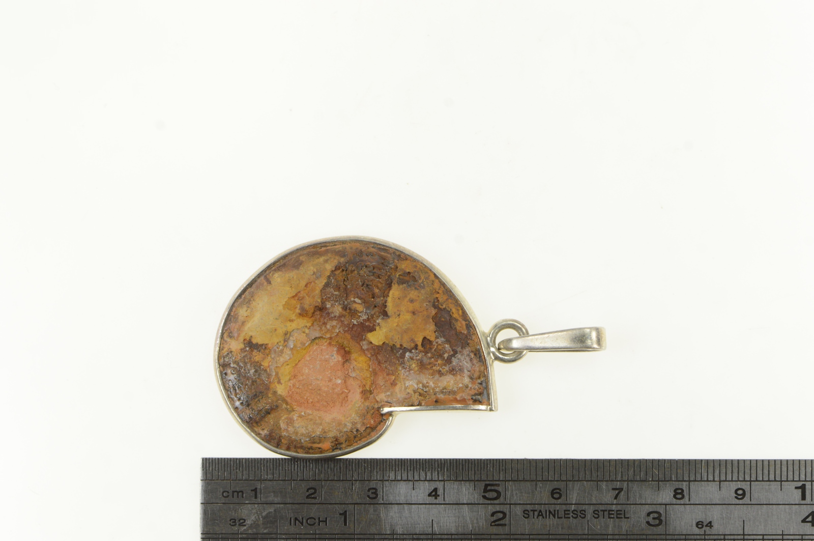 Sterling Silver Ammonite Fossil Shell Crystal Medallion Pendant ...