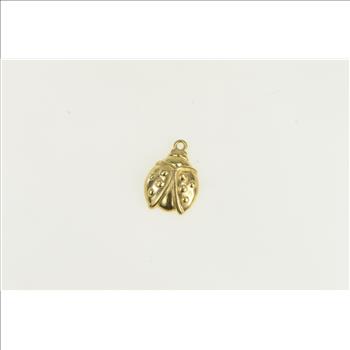 14K 3D Lady Bug Good Luck Symbol Insect Yellow Gold Charm/Pendant ...