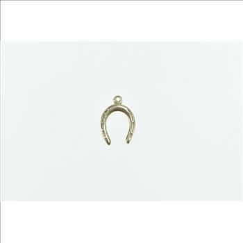 14K Horse Shoe Good Luck Symbol Lucky Yellow Gold Charm/Pendant ...
