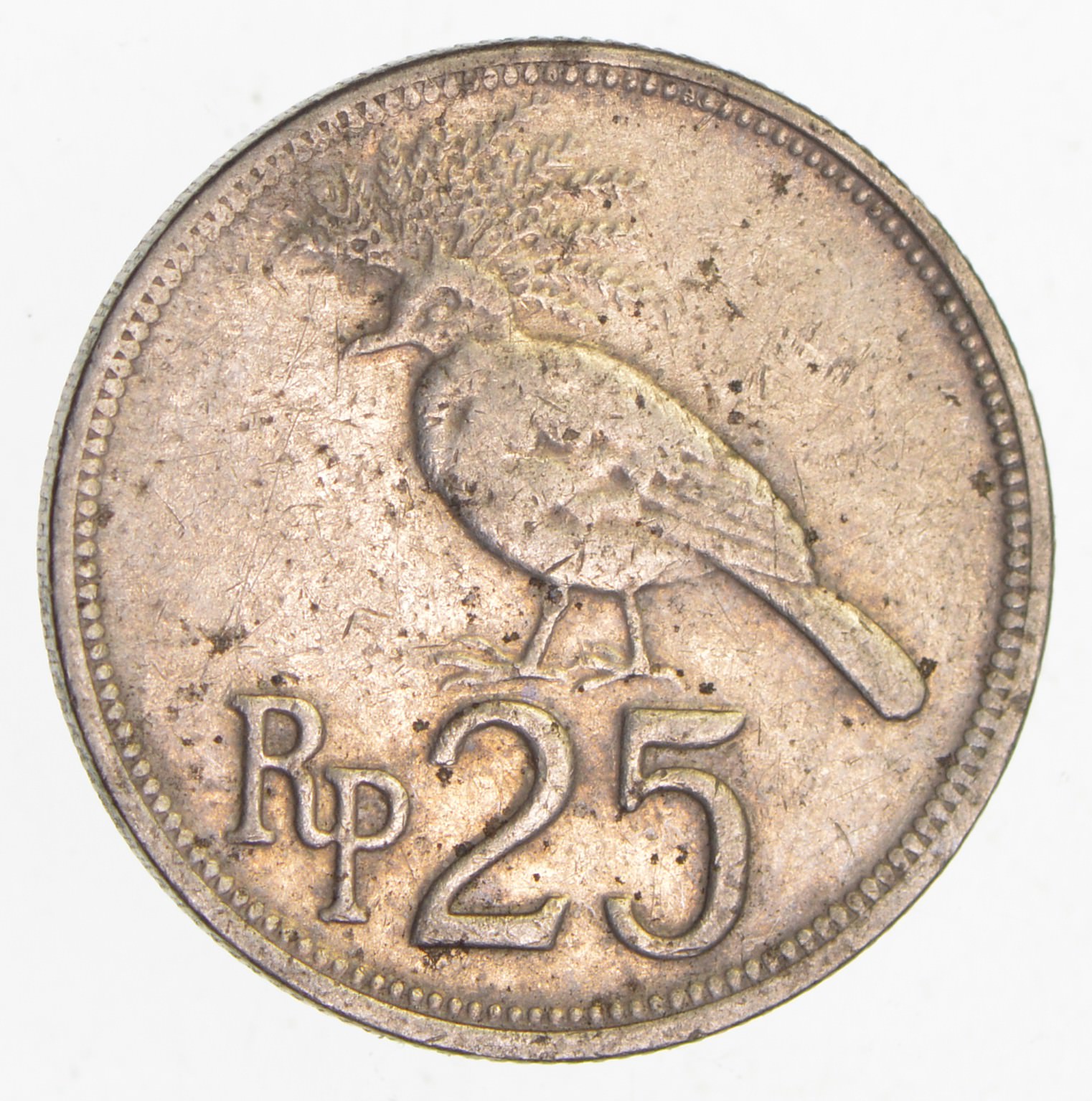 1971 Indonesia 25 Rupiah | Property Room