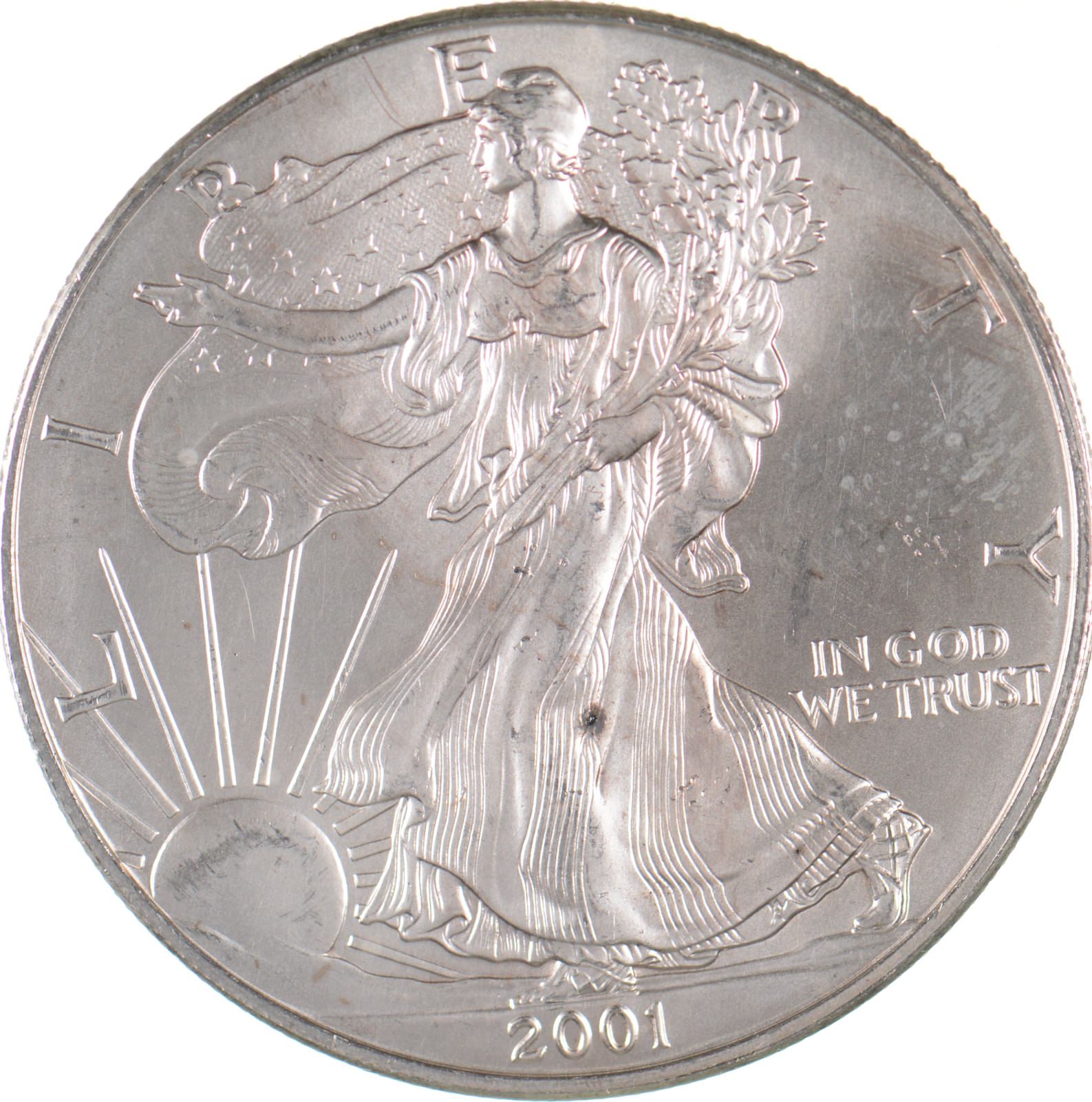2001 American Silver Eagle Estate Coin Collection | Property Room