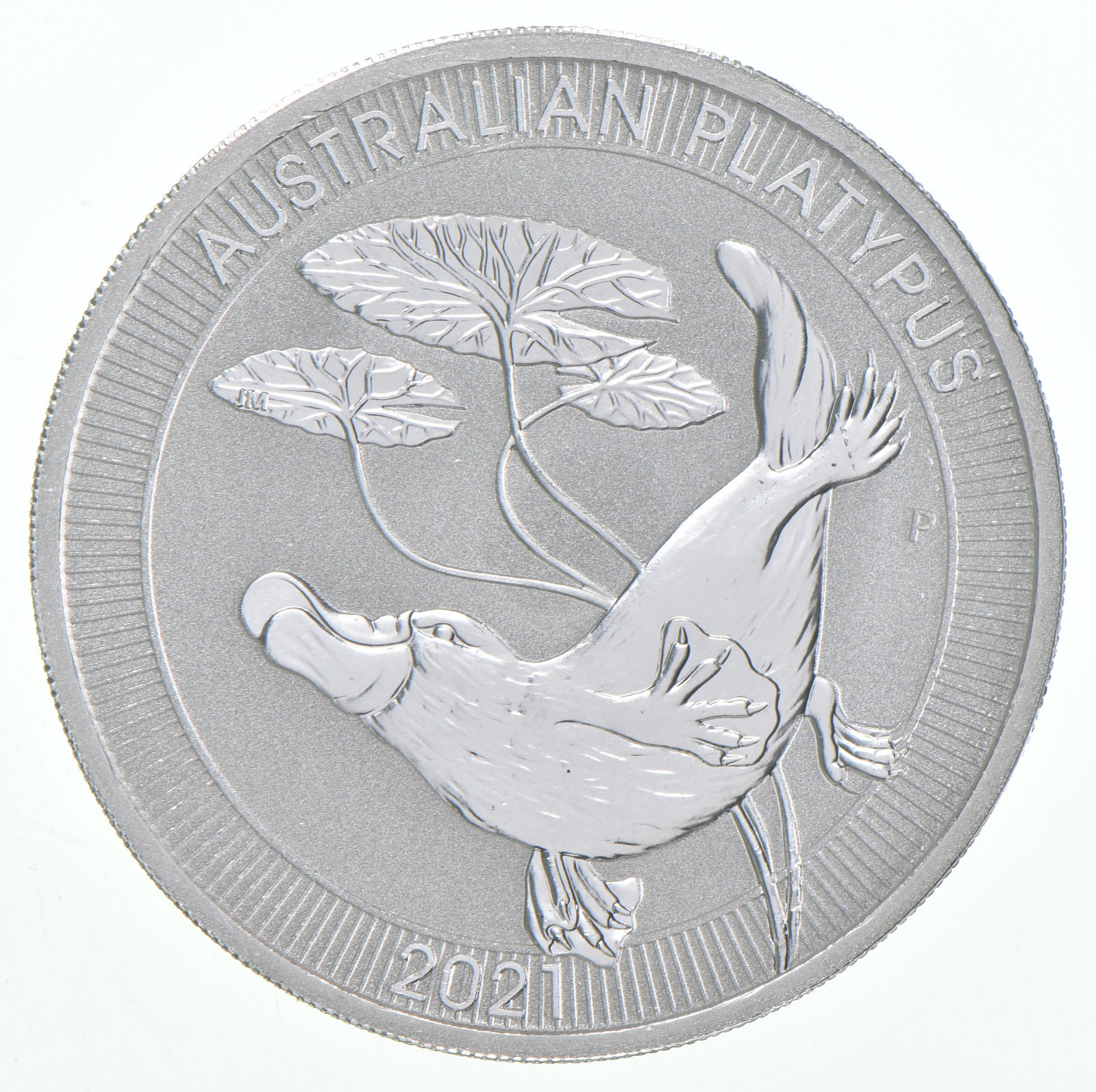 2021 1.5 Oz 9999 Silver Round Piedfort $2 Australian Silver Platypus ...