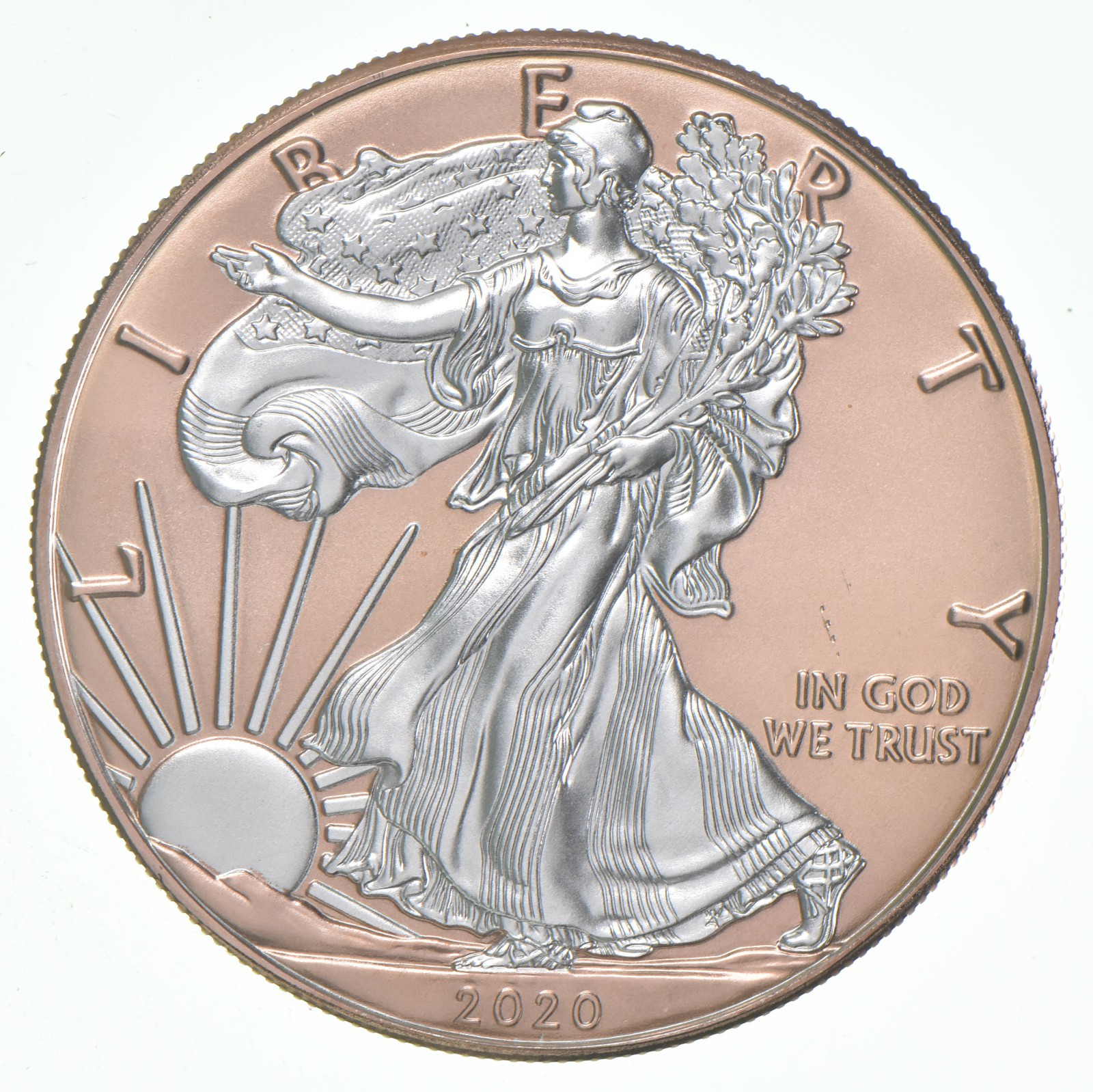 24K GOLD - 2020 American Silver Eagle - 24K Gold Plated - Beauitful ...