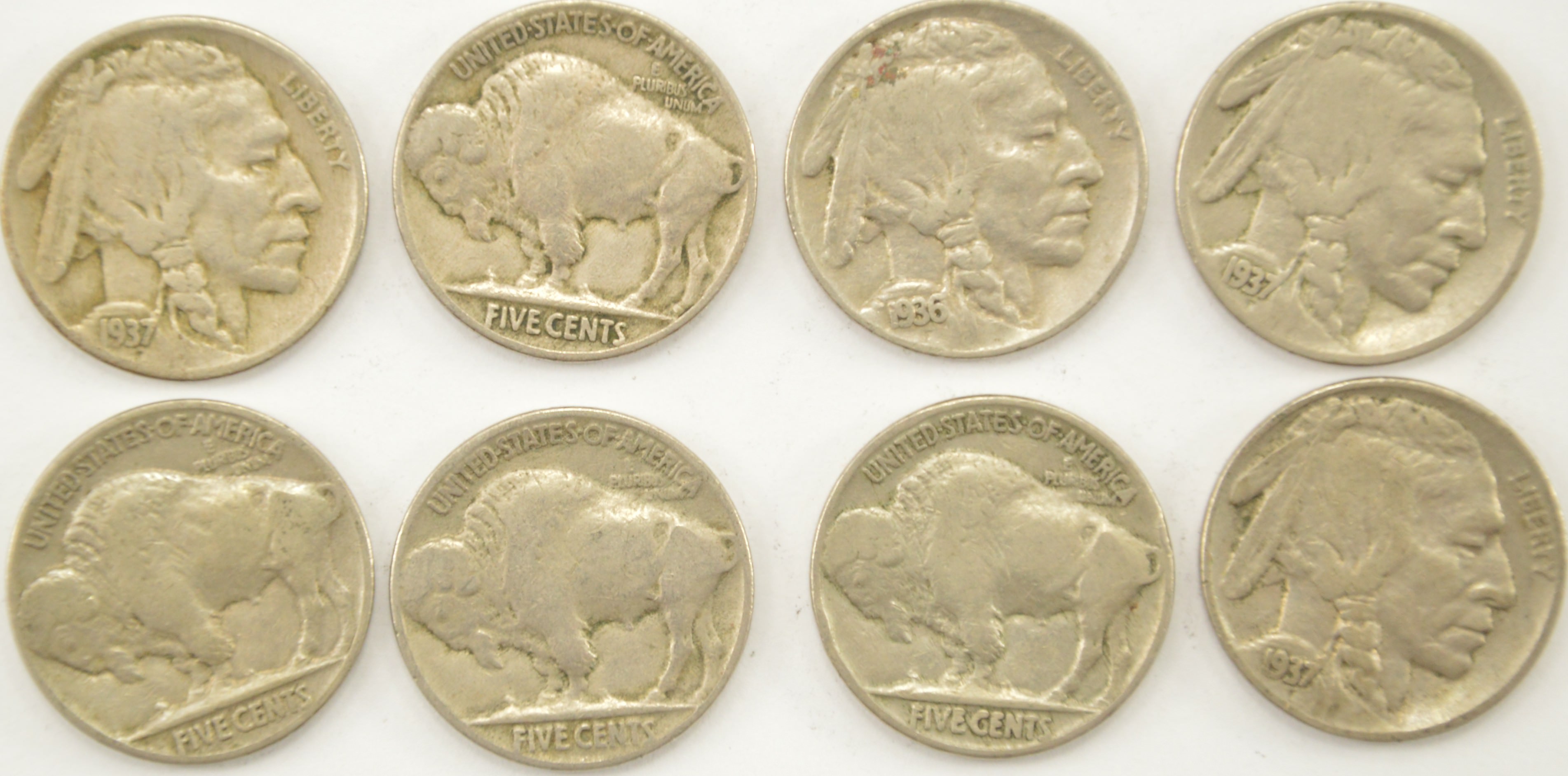 5c Indian Nickels F-XF+ Great Detail in Buffalo Horn - 8 Coin Lot ...