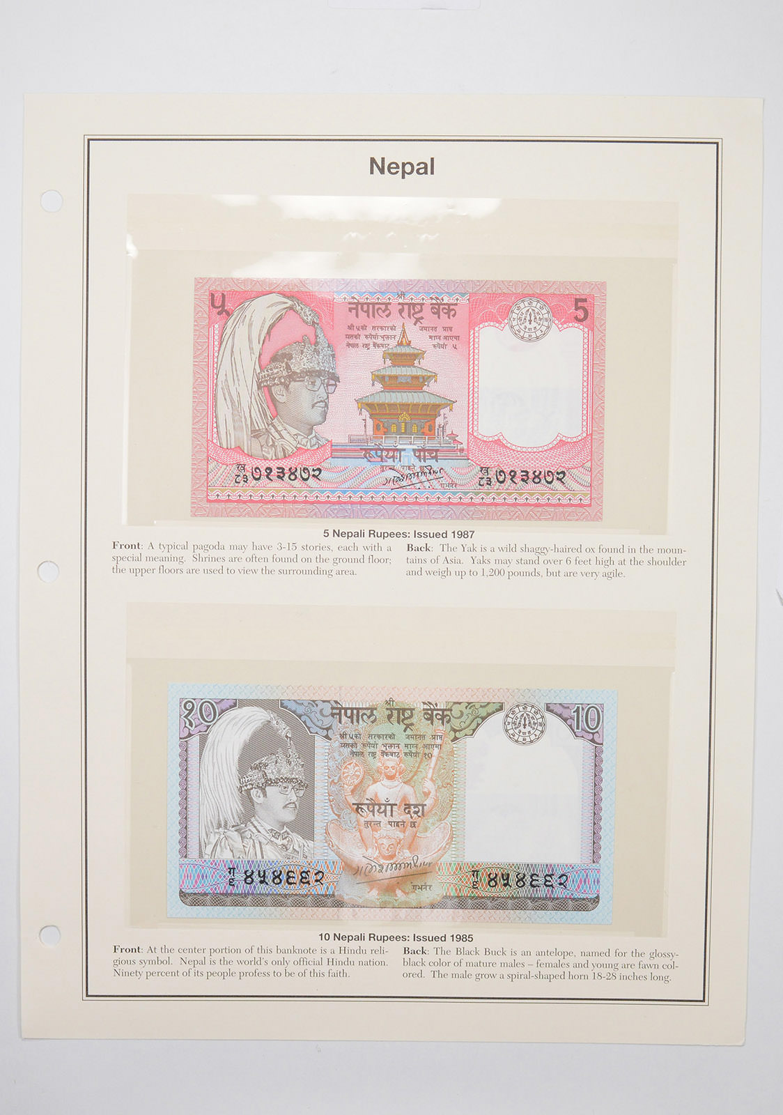 Colorful - Bank Note(s) from Nepal - Interesting History! | Property Room