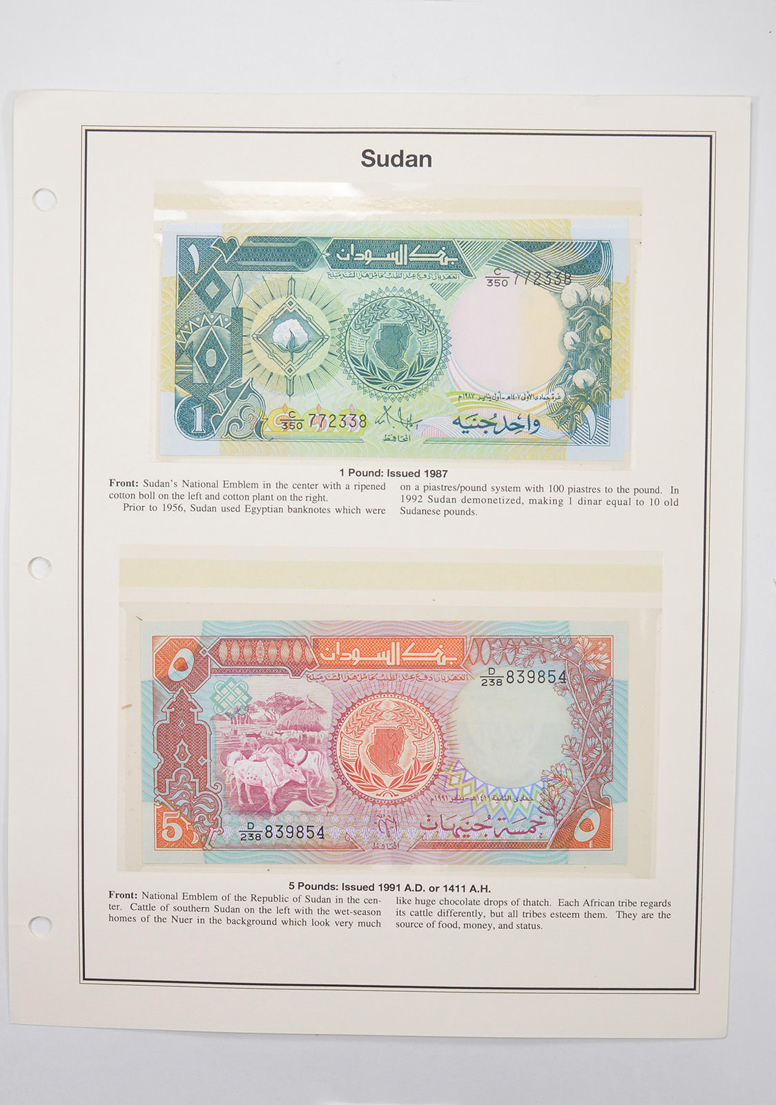 Colorful - Bank Note(s) from Sudan - Interesting History! | Property Room