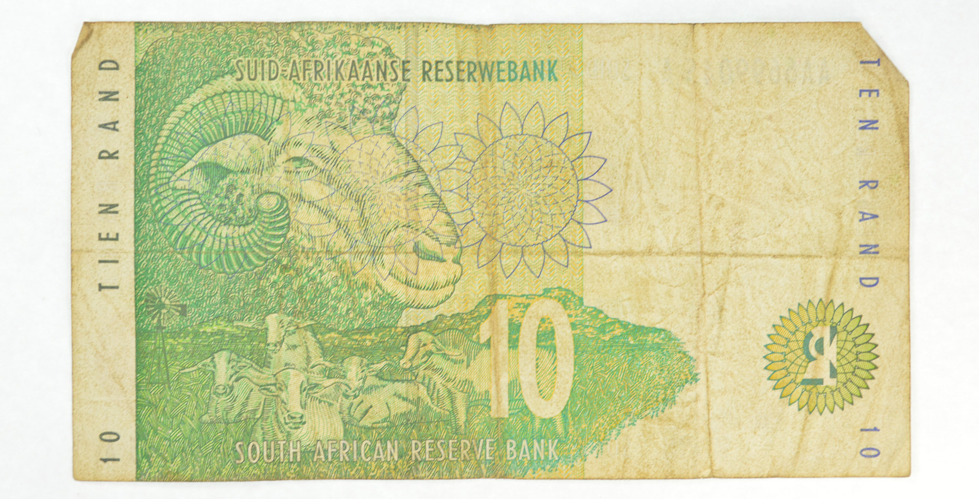 Great Artwork - South African Rand Bank Note - Collectible Currency ...