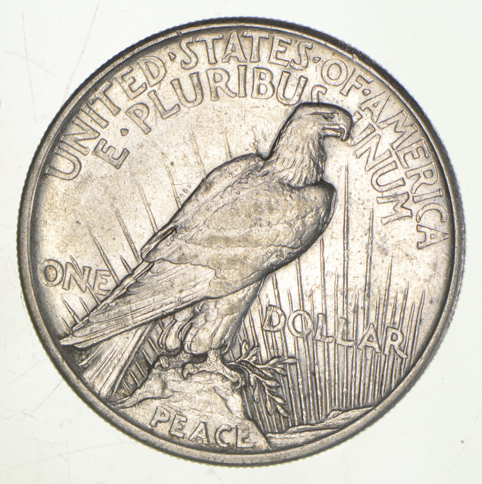 HIGH Relief - RARE - 1921 Peace Silver Dollar - Key Date - Rare ...