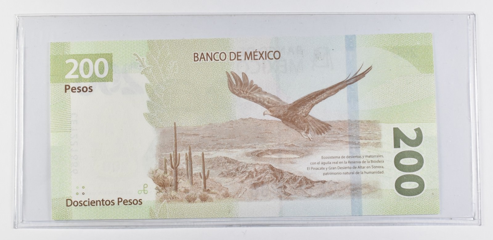 Historic World Bank Note 2019 Mexico 200 Pesos Collectible Currency ...